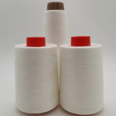 China Factory Direct 20/2 40/2 50/2 PVA Water Soluble Thread for Sewing Weaving and Embroidery for sale