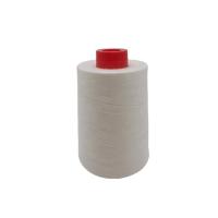 China 100% PVA Water Soluble Sewing Thread 80s/1 40/2 for Knitting and Weaving for sale