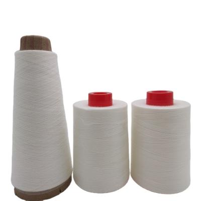 China 100% PVA Water Soluble Thread 20/2 40/2 for Eco-Friendly Sewing and Embroidery for sale