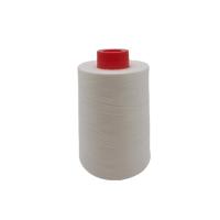 China 100% PVA Water Soluble Thread 20/2 40/2 for Eco-Friendly Sewing and Embroidery for sale