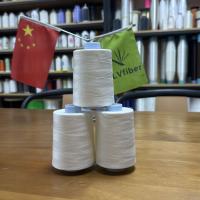 China 100% PVA Water Soluble Thread with 2F Yarn Count and 4000 Meter Length for Eco-Friendly Sewing and Embroidery for sale