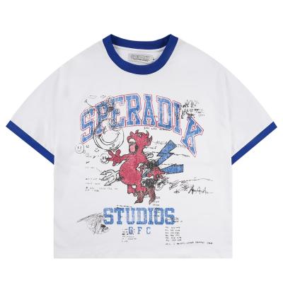China Custom Heavyweight 100%cotton Graphic Print Boxy T Shirt for Men for sale