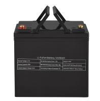 China 12v Lifepo4 Lithium Battery 24v 100ah 200ah 300ah OEM/ODM Accepatable for sale