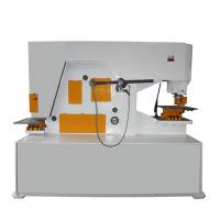 China Double Cylinder Metal Shear Machine Ironworker Machine Tool HIW-120S for sale