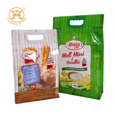 China OEM Custom Printed Moisture Proof Flour Packaging Bag with Gravure Printing for Food Grade Vacuum Packaging for sale