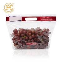 China 100g 500g Dry Fruit Packaging Bags With Hole Fresh Cherry Stand Up Pouches Eco Friendly for sale