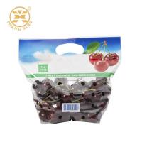 China 500g Vegetables Resealable Stand Up Pouch Bags Dry Fruits Packaging Pouch Zipper Top for sale