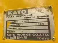 China 30TON Max. Lifting Load Used Truck Crane NK250E-V NK300E-V for Heavy Duty Work for sale