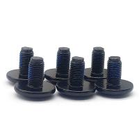 China Steel Round Head Hex Screw Black Oxide Thread Locking Bolts Anti Loosening for sale