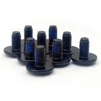 China Pre Applied Adhesive Bolt Black Nylon Patch Screw Micro Machining for sale