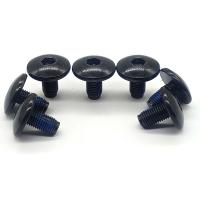 China Pre Applied Adhesive Bolt Black Nylon Patch Screw Micro Machining for sale