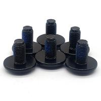 China Pre Applied Adhesive Bolt Black Nylon Patch Screw Micro Machining for sale