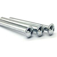 China Carbon Steel CNC Turning Parts Long Aluminum Rivets Pan Head for sale