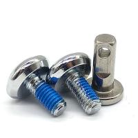 China Non Standard Custom Metal Parts 302 304 316 Stainless Steel Screw for sale