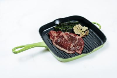 China 9 Inch Duracast Enameled Cast Iron Grill Pan With Long Handle for sale