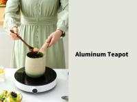 China Induction Ready Aluminum Teapot Non Stick With Detachable Handle And Glass Lid for sale