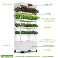 China Veggiefloe Hydroponic System – Fresh, Healthy, and Sustainable Home-Grown Vegetables for sale
