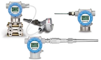 China Honeywell Series STT830  Threaded and socket weld assembly with thermowell and extension for sale