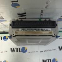 China WESTINGHOUSE OVATION OUTPUT MODULE ANALOG  1C31129G03 LED INDICATING for sale