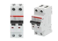China S202-C100 2CDS252001R0824 Miniature Circuit Breakers MCBs 6kA 100A 2P for sale