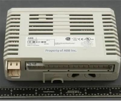 China AI843 3BSE028925R1 ABB Output Module Redundant Power Supply Module for sale