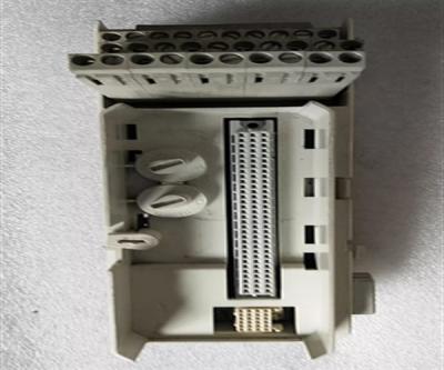 China 3BSE013231R1 ABB - TU811V1 ABB 8 Channel 250 V Compact Module for sale