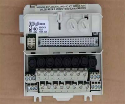 China ABB TU837V1 Extended Module Termination Unit MTU 250 V, ABB 3BSE013238R1 Supply Module for sale