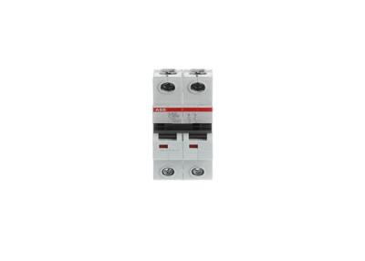 China ABB S202-C100 2CDS252001R0824 S202-C100 Miniature Circuit Breaker - 2P - C - 100 A for sale