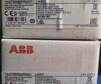 China ABB 1SAP250600R0001 Analog Input RTD 8AI Module AI531 for sale
