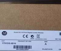 China 1791DS-IB16 Allen-Bradley Guard I/O 16 Point Digital Comb Module for sale