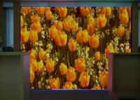 China High Definition Outdoor Full Color Led Display , IP68 SMD P6 LED Module for sale