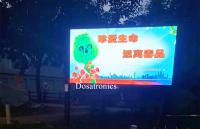 China 200W/M2 6000cd/M2 LED Video Digital Signages 192×192 Pixels for sale