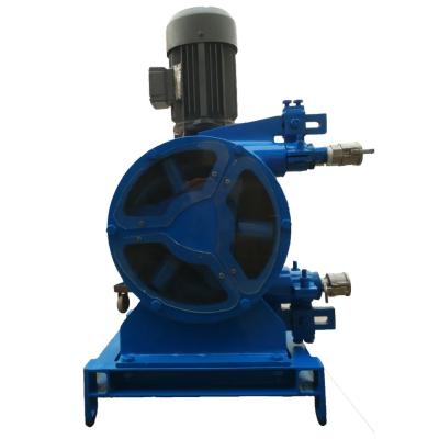China High Flow Rate Industrial Hose Pump for Heavy Duty Project Applications for sale