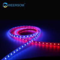 China Customize Digital LED Strip 5000mm Length DC5V DC12V DC24V IP68 for sale