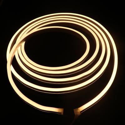 China Input Voltage 12V/24V DC LED Neon Flex Waterproof IP67 Flexible LED Strip for sale