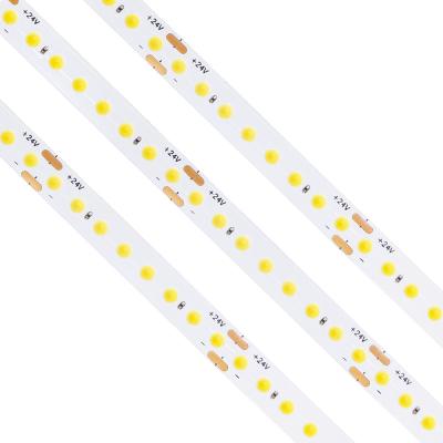 China Cri90 Rgb Cob Led Strip 8mm Dot Free Led Strip Lights 160 Led for sale
