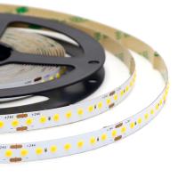 China Economical Dot Free Led Strip Lights Dc24v Led Light 2700k 8mm Width for sale