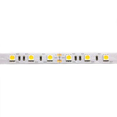 China Dc24v 10m High CRI LED Strip 2700K Led Smd 5050 Strip Without Color Diffrence for sale