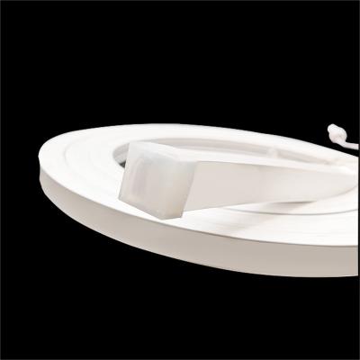 China IP67 Rgb Flex Neon Led Strip Light Dc24v Flexible Silicone Led Strip Waterproof for sale