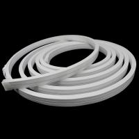 China 10x20mm Led Neon Light Smd5050 Ip65 Waterproof Led Strip Lights Silicone for sale