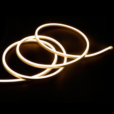 China Anti UV Led Neon Flex Rgb 16.4Ft  Led Strip 2835 Smd Warm White for sale