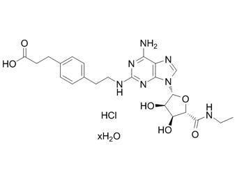 China CGS-21680 HCl cas 124182-57-6 for sale