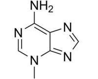 China 3-Methyladenine NSC 66389 PI3K Inhibitor Autophagy Inhibitor 98% Purity CAS 5142-23-4 for sale