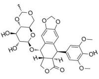 China Etoposide 98% Purity Semisynthetic DNA RNA Inhibitor CAS 33419-42-0 for sale