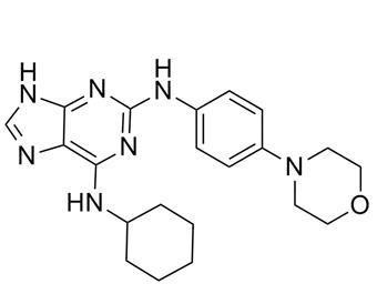 China RNA DNA Synthesis Inhibitors Reversine for sale