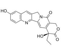 China 10-Hydroxycamptothecin cas 19685-09-7 for sale