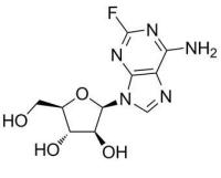 China Fludarabine CAS 21679-14-1 NSC-118218 98% Purity Adenosine Analog for Leukemia Research for sale