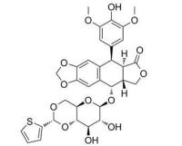 China Teniposide cas 29767-20-2 for sale