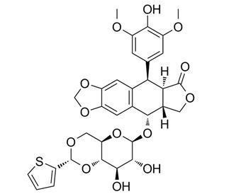 China Teniposide cas 29767-20-2 for sale