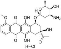 China Daunorubicin Hydrochloride CAS 23541-50-6 98% Purity DNA Synthesis Inhibitor for sale